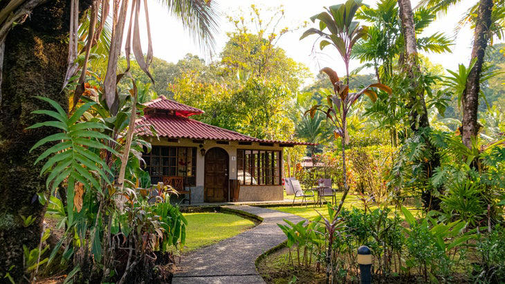 At This Remote Costa Rican Retreat, Your Room Is in the Rainforest