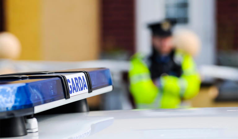 Garda watchdog launches investigation into death of man in custody