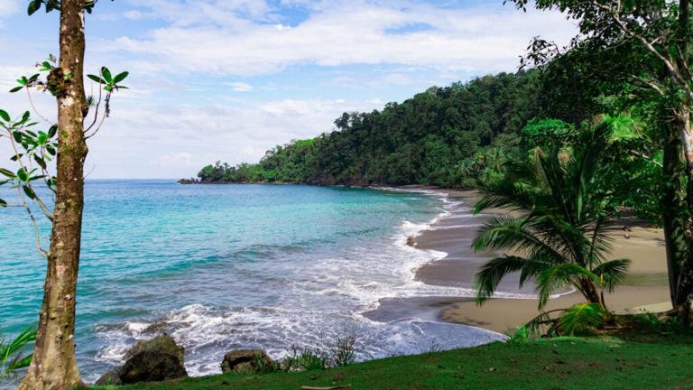 At This Remote Costa Rican Retreat, Your Room Is in the Rainforest