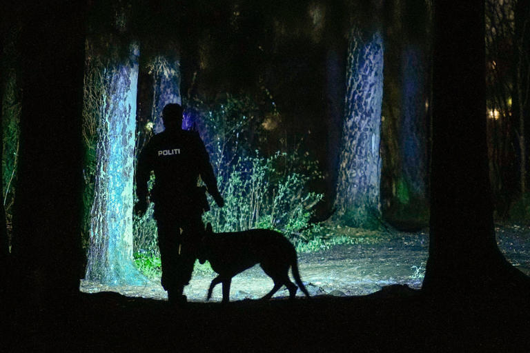 Nokas-raner skutt og drept på Oppsal