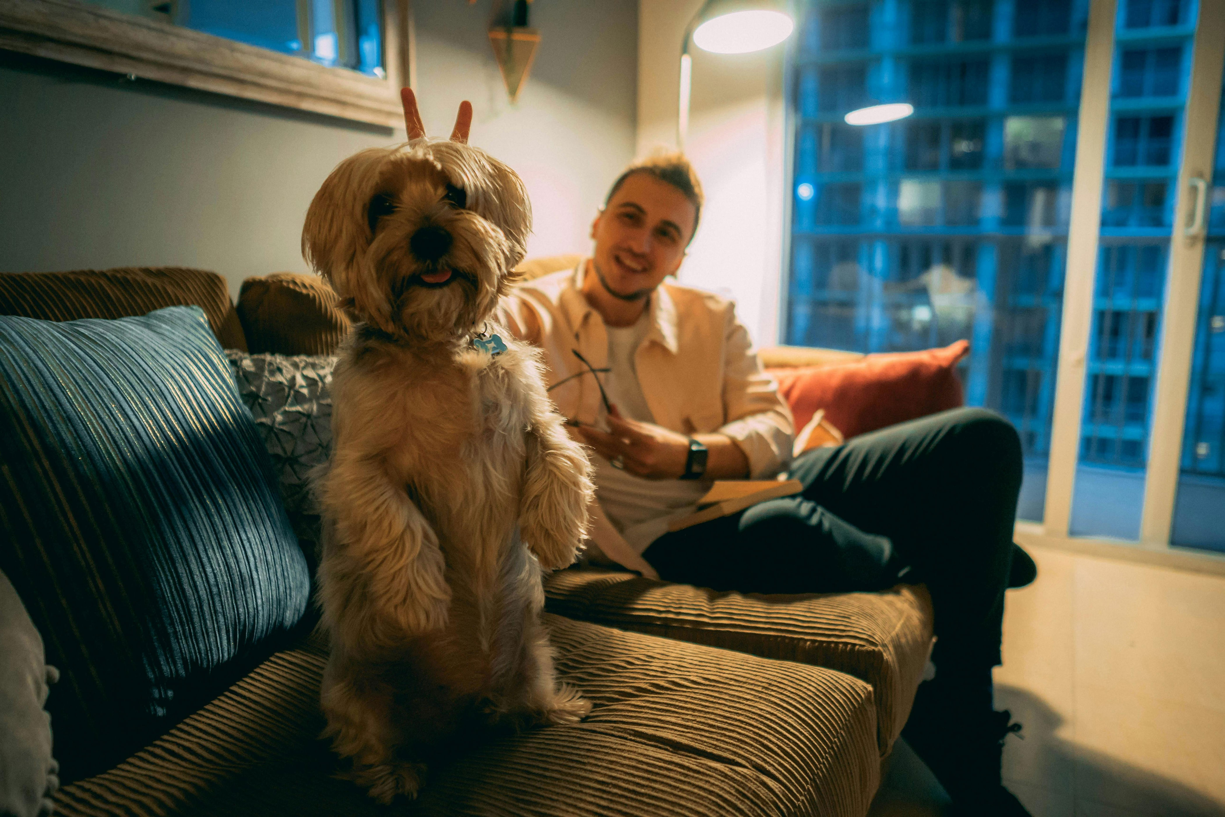 5 best pets for small apartments