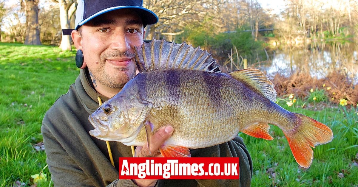 Red prawn produces personal best perch