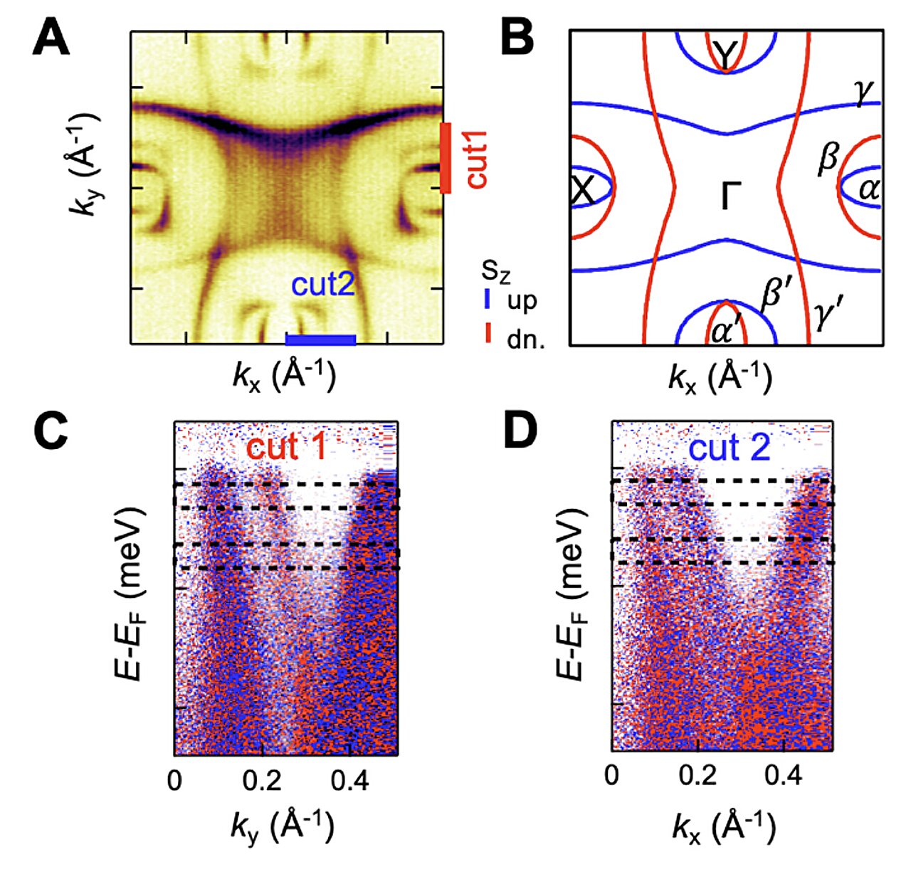 Layered room-temperature altermagnet shows promise for advanced spintronics