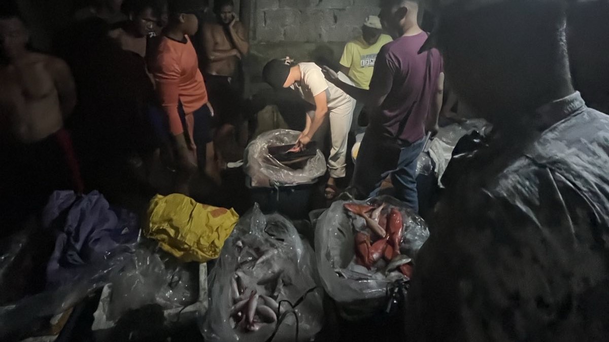 440 kg of fish caught using dynamite seized in Real, Quezon
