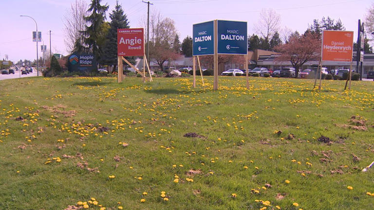 'Nail-biter' result predicted in Pitt Meadows-Maple Ridge as voters ...