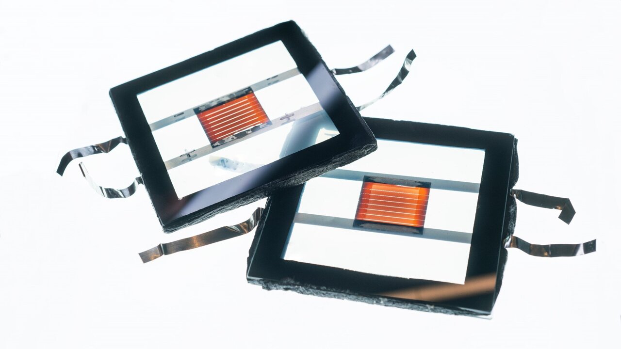 Perovskite solar modules show year-long outdoor durability