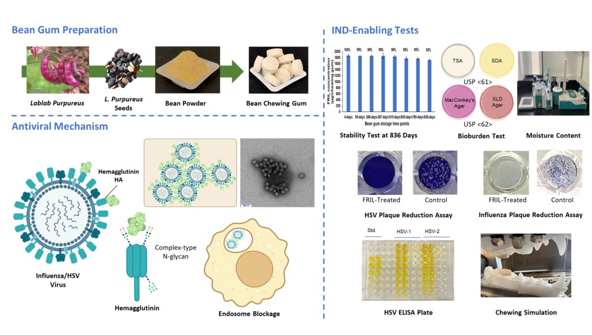 95% of Flu and Herpes Infection Neutralized by Chewing Gum in Minutes ...