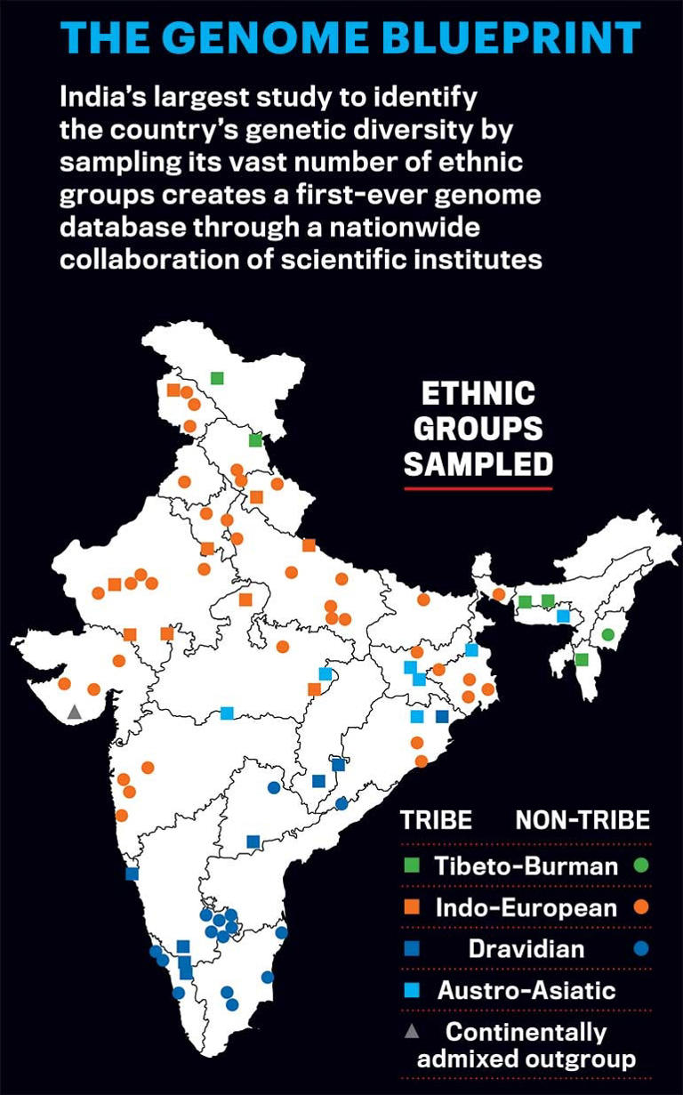 Cracking India's genetic code