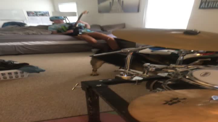 Dog Tries Barking in Rhythm With Drum Set