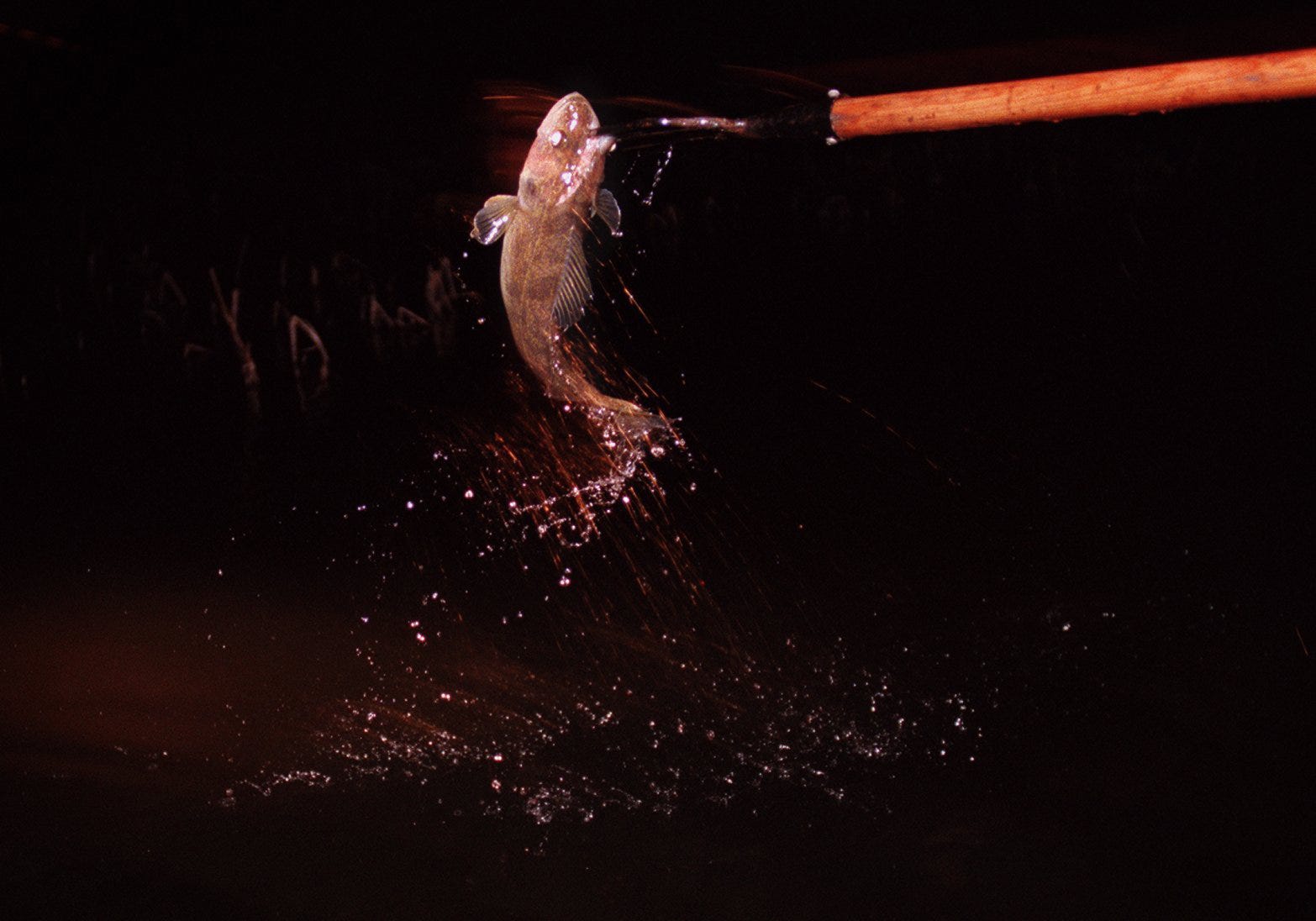 Harassment against Ojibwe spearers continues more than 30 years after ...