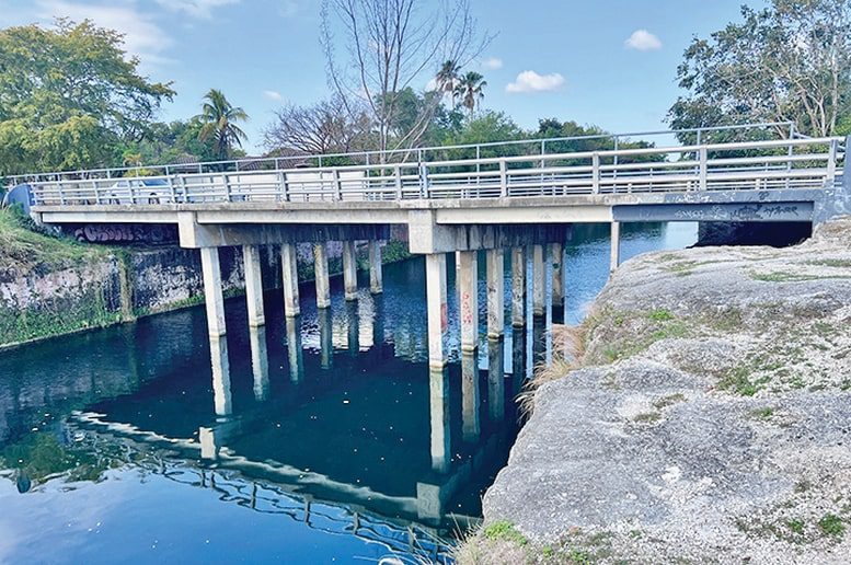 An Ode to Old Cutler Road