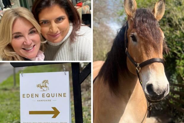 Riding stables to open with help from British TV royalty
