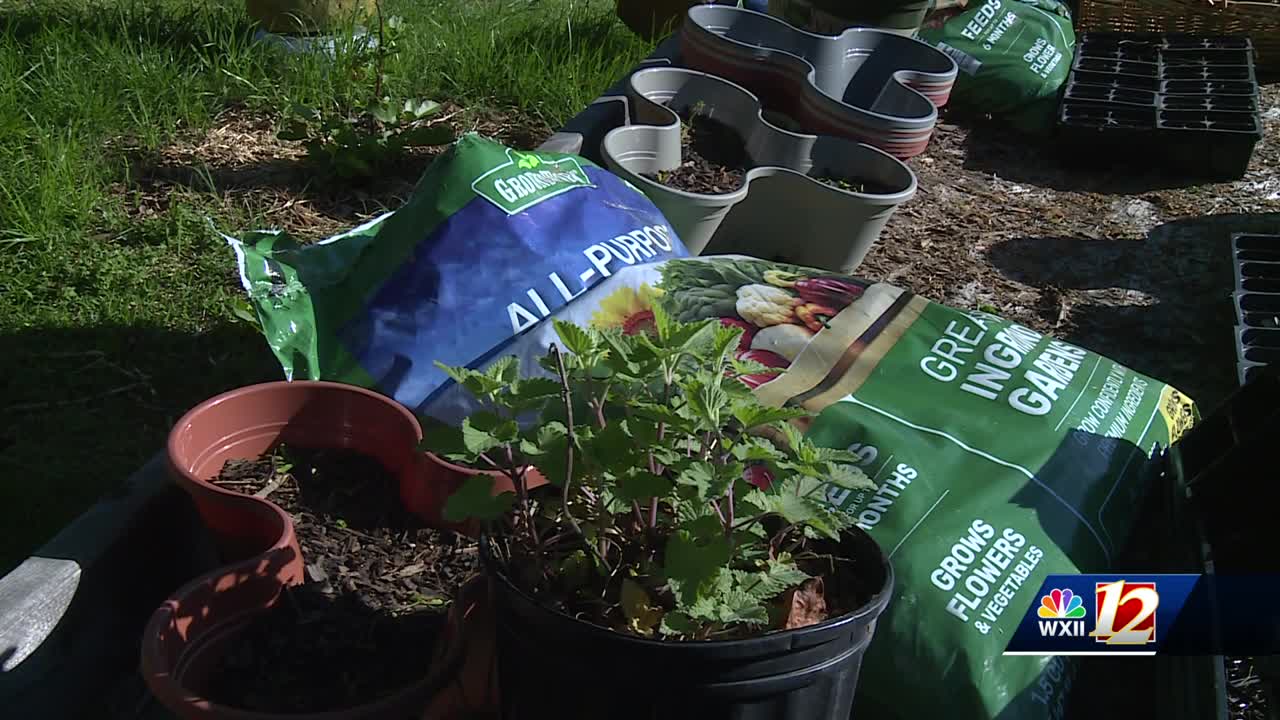 One Local farmer explains how one seed can help save pollinators, the ...