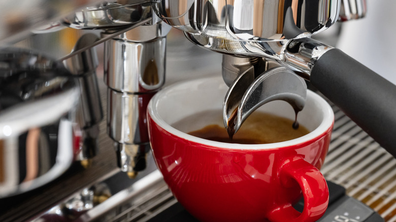 Don't Forget This Step Before Pulling Espresso Shots On Your New Machine