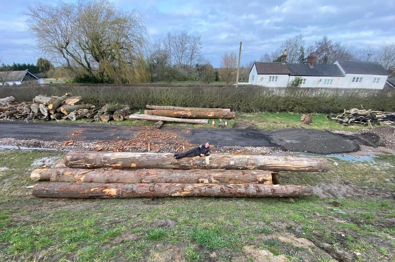 Sculptor hopes to create world’s biggest cricket wickets from giant ...