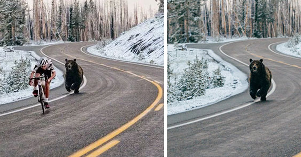 29 Viral Photos That Turned Out to Be Fake