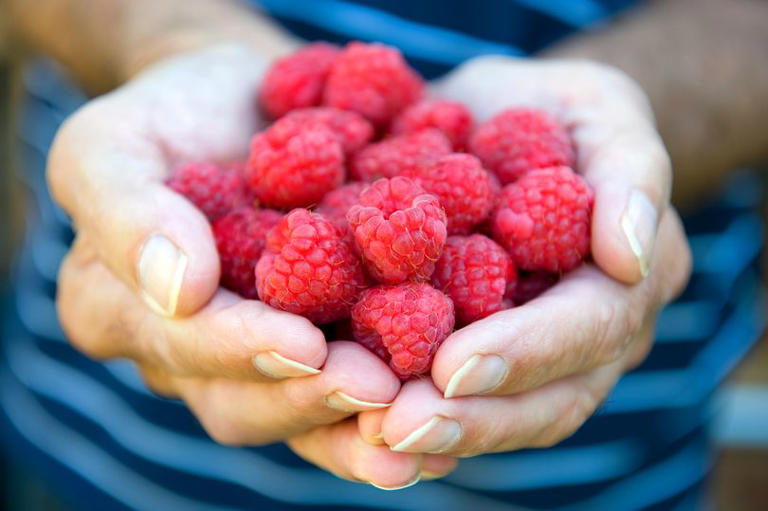 Doctor says risk of heart disease reduced by 10% by adding 2 foods to ...