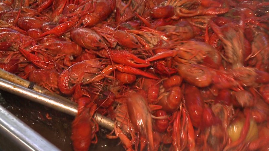 Live, boiled crawfish prices drop for Easter weekend