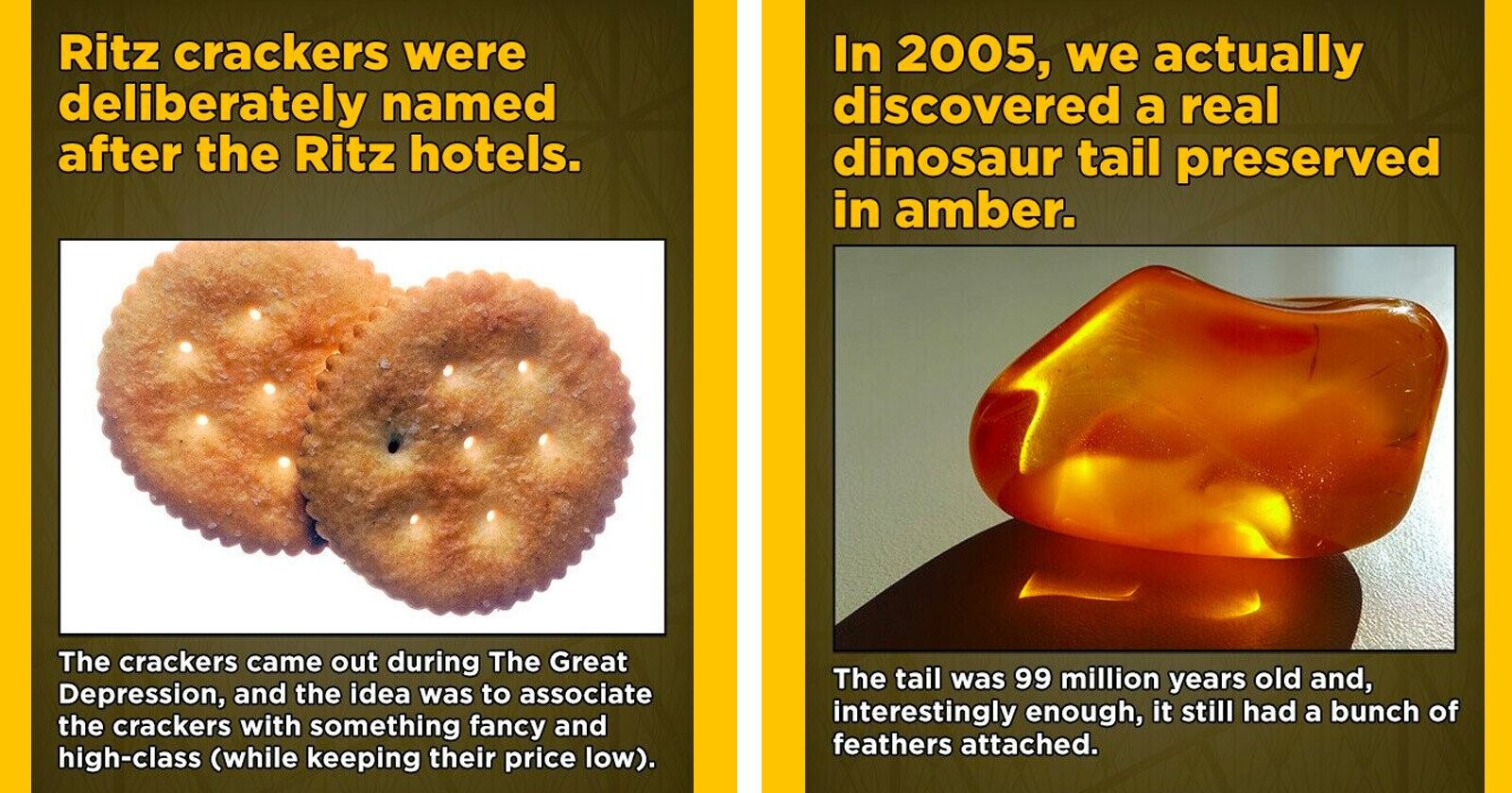 11 Trivia Tidbits For Your Tuesday