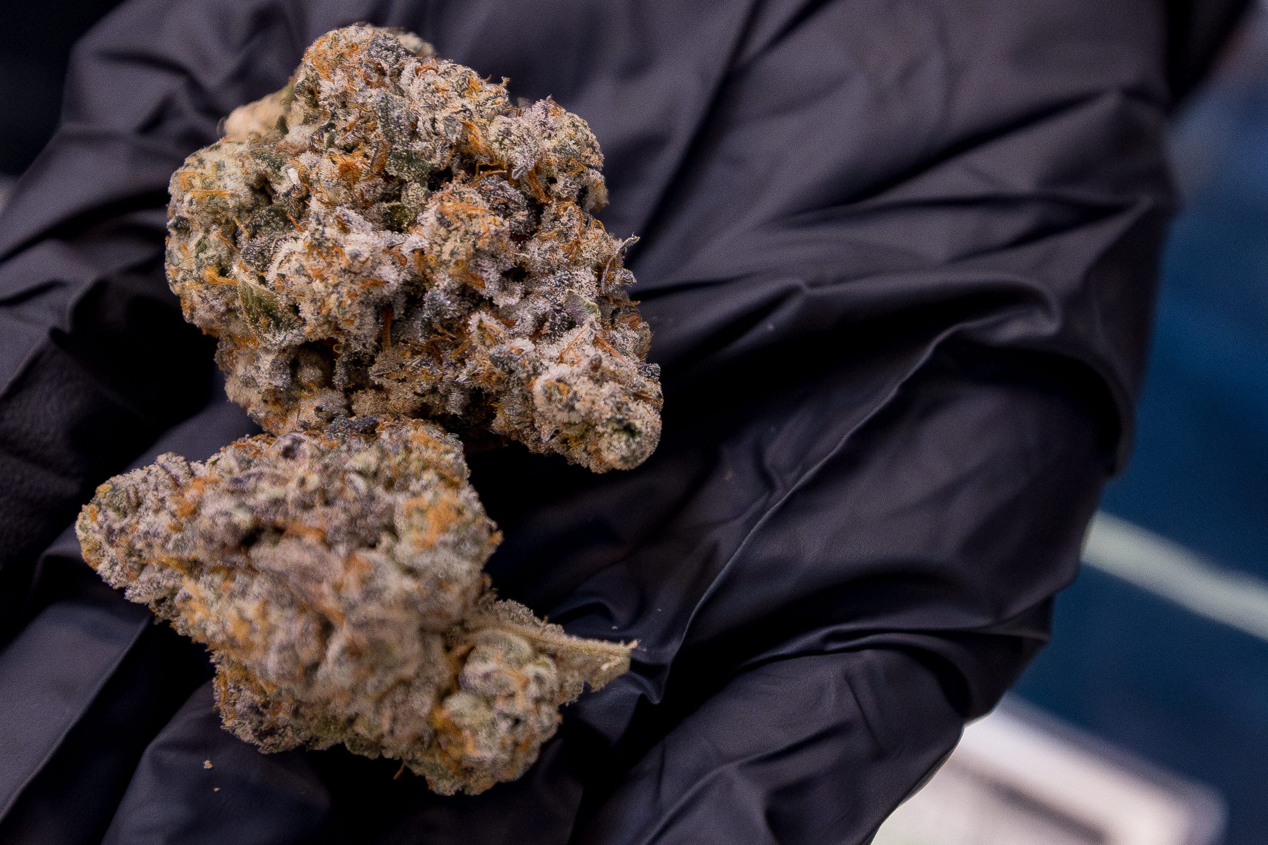 Texas-New Mexico border town ranks No. 2 in cannabis sales for first ...