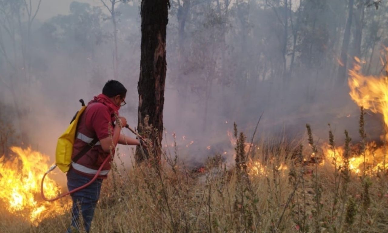 Bernabé López: el control en los incendios del Puebla es de un 85%
