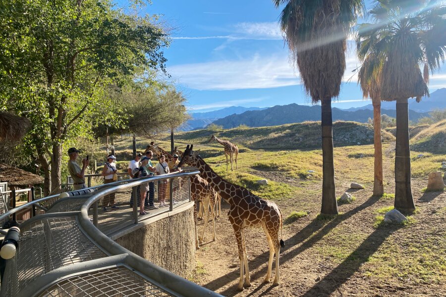 Autism-Certified Cities for Neurodivergent Travelers