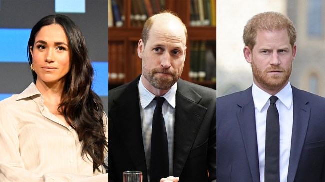 William Reportedly Saw Through Meghan's ‘Plan' to Marry Harry For ‘Fame ...