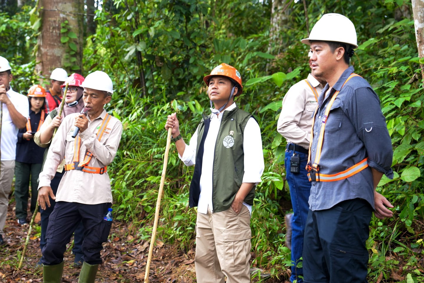 Lindungi Hutan Raja Ampat, Menhut Setop Penerbitan PPKH Baru