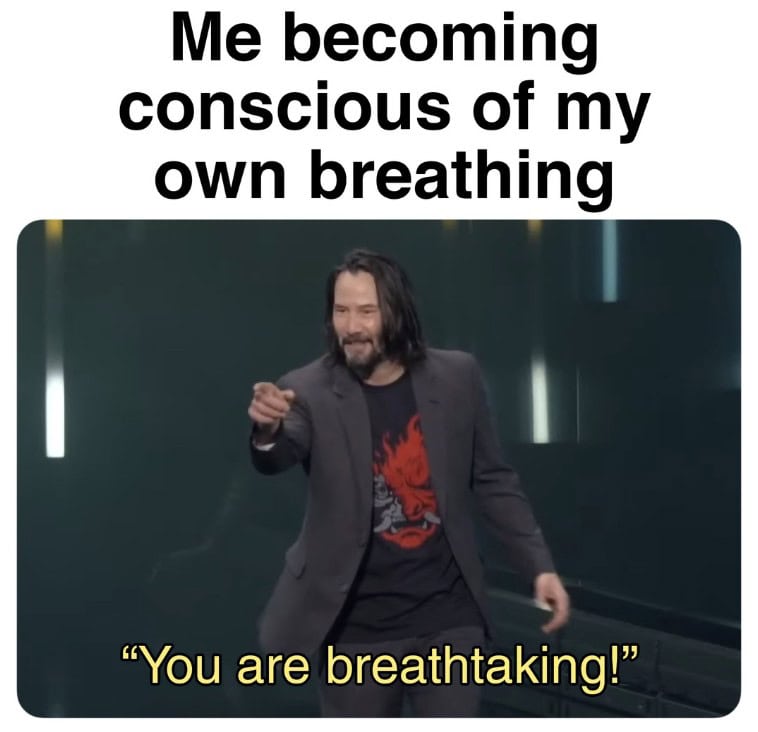 40 Funny Meditation Memes For Brave Folks Trying To Quiet Their Minds