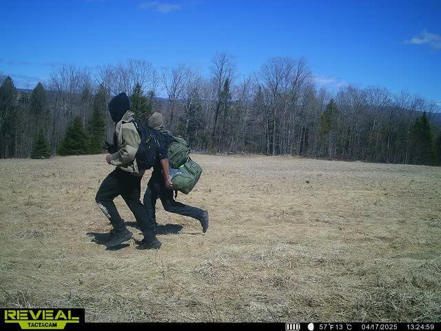 Game camera captures alleged $30K property theft from Vt. farm