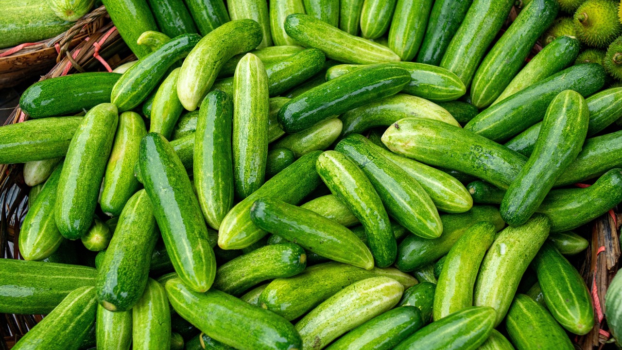 What To Do With Overripe Cucumbers: 5 Delicious Ideas