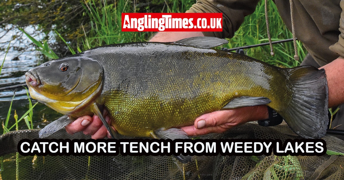 How to catch tench from weedy lakes