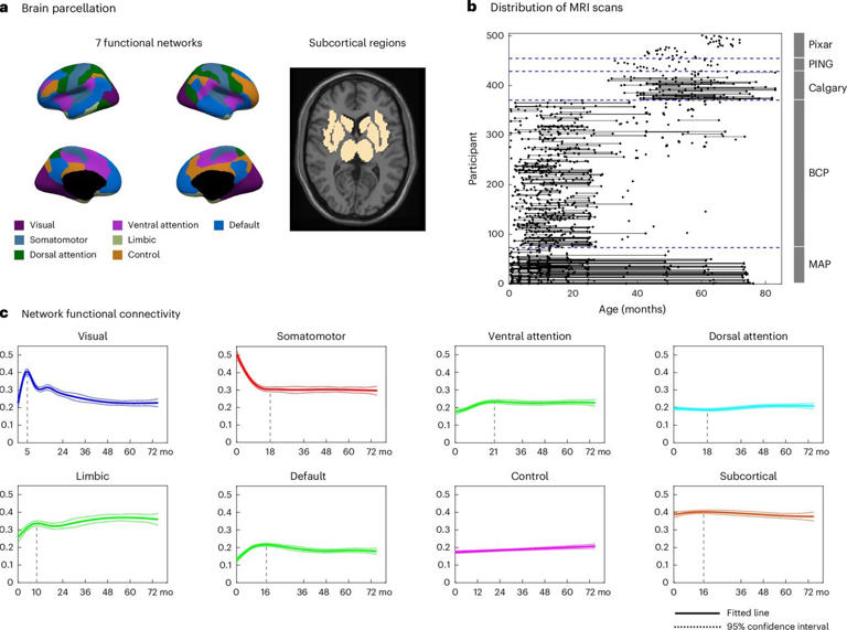 Using MRI, researchers chart brain growth and development during early ...