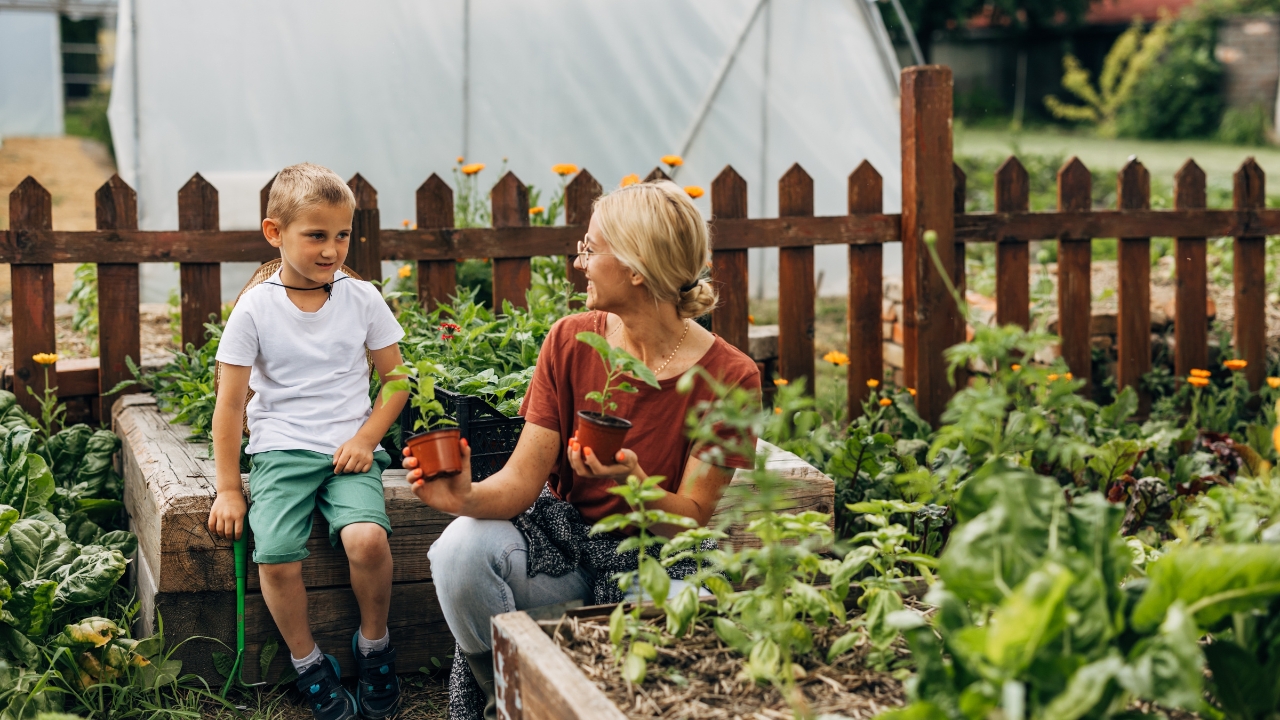10 secret tricks farmers use to grow healthier vegetables