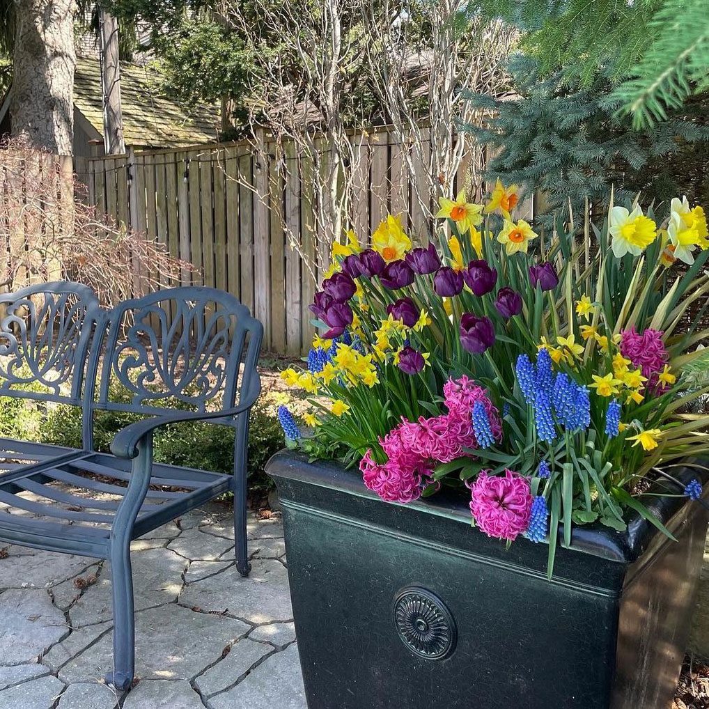 10 Spring Container Garden Ideas