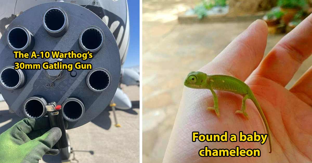 30 Interesting Images That Showcase Some Unusual Sights