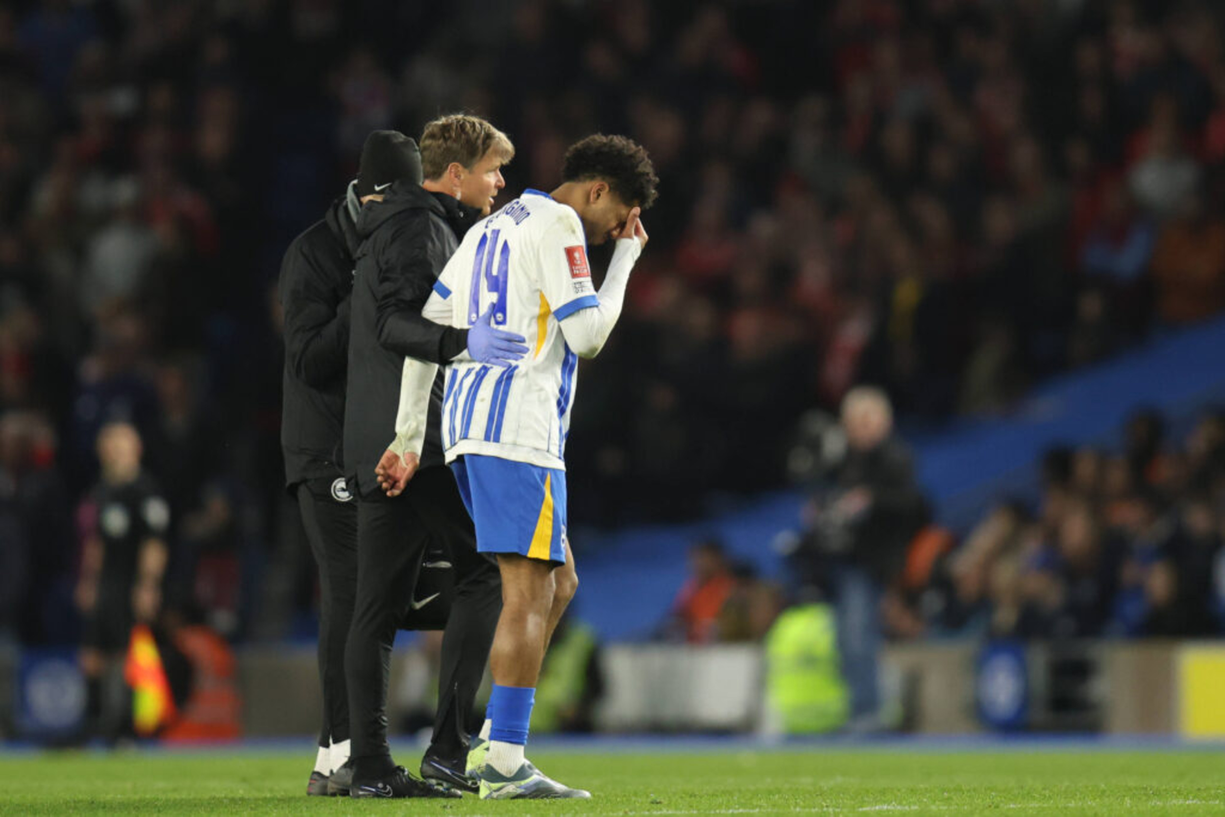 Ranking Brighton £200 Million Summer Signings This Season