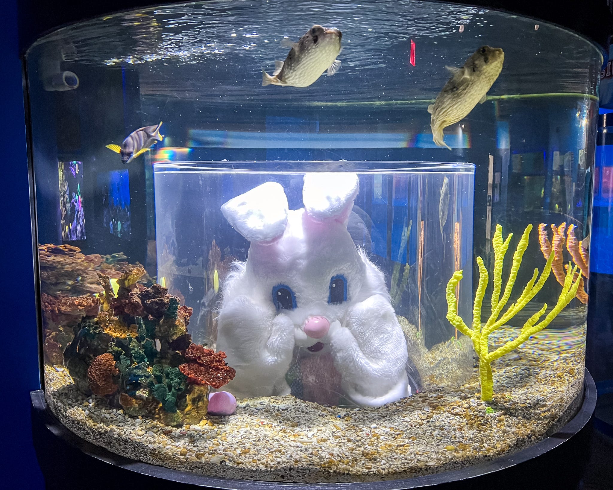 West Herr WBEN Buffalo Business Report - Friday, April 18th, 2025