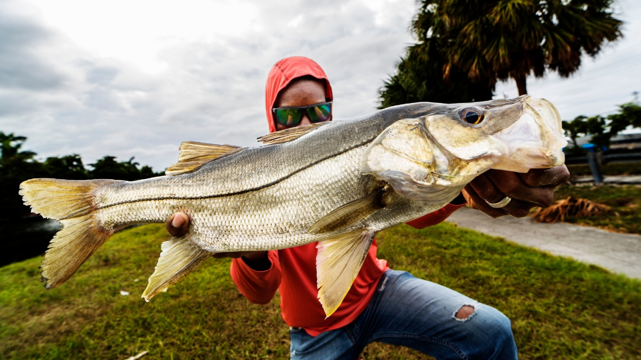 Best Spots in the U.S. to Land Trophy Snook