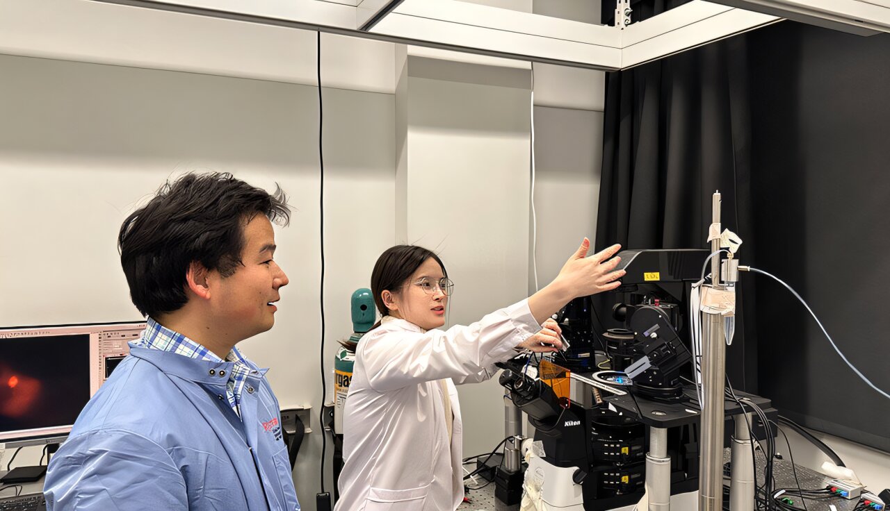 Scientists reveal how a protein linked to Parkinson's disease ...