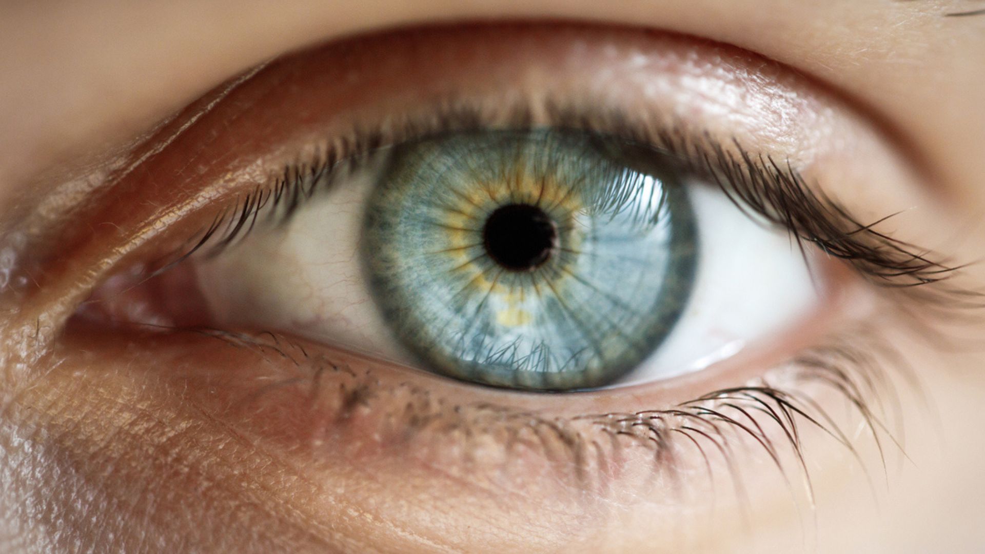 Humans see color never before visible to naked eye with retinal ...