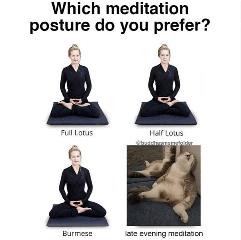 40 Funny Meditation Memes For Brave Folks Trying To Quiet Their Minds