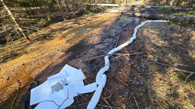 Oil spill in Michigan's Pigeon River Country State Forest under ...
