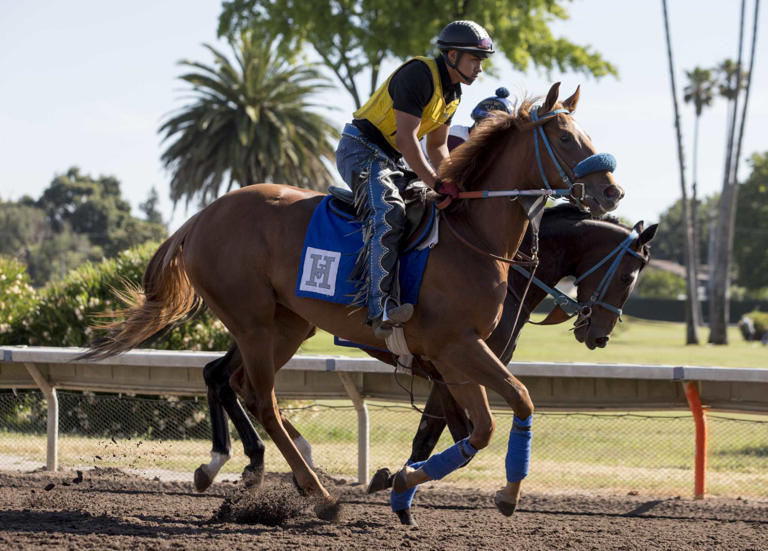 Sonoma County Fair cancels horse racing for 2025