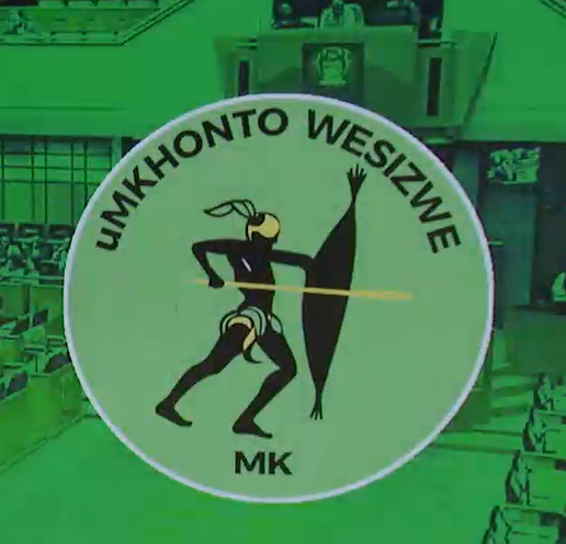 Nine MK party members to join National Assembly