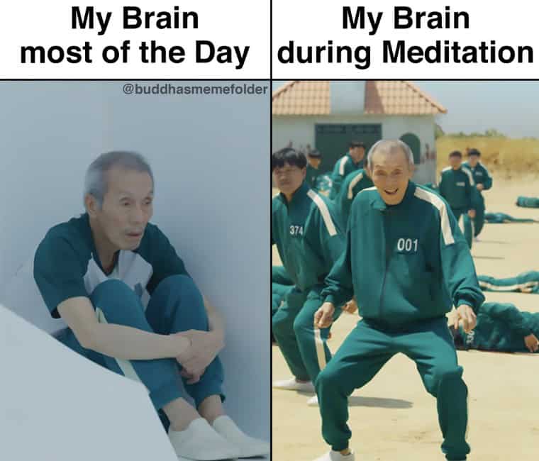 40 Funny Meditation Memes For Brave Folks Trying To Quiet Their Minds