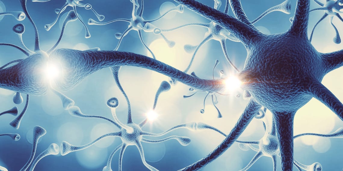 Scientists unlock the hidden workings of memory using neurofeedback in rats