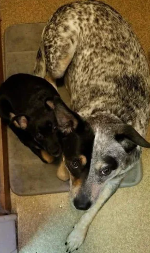 13 Mind-Melting Photos From This Week That Will Make Your Brain Short ...