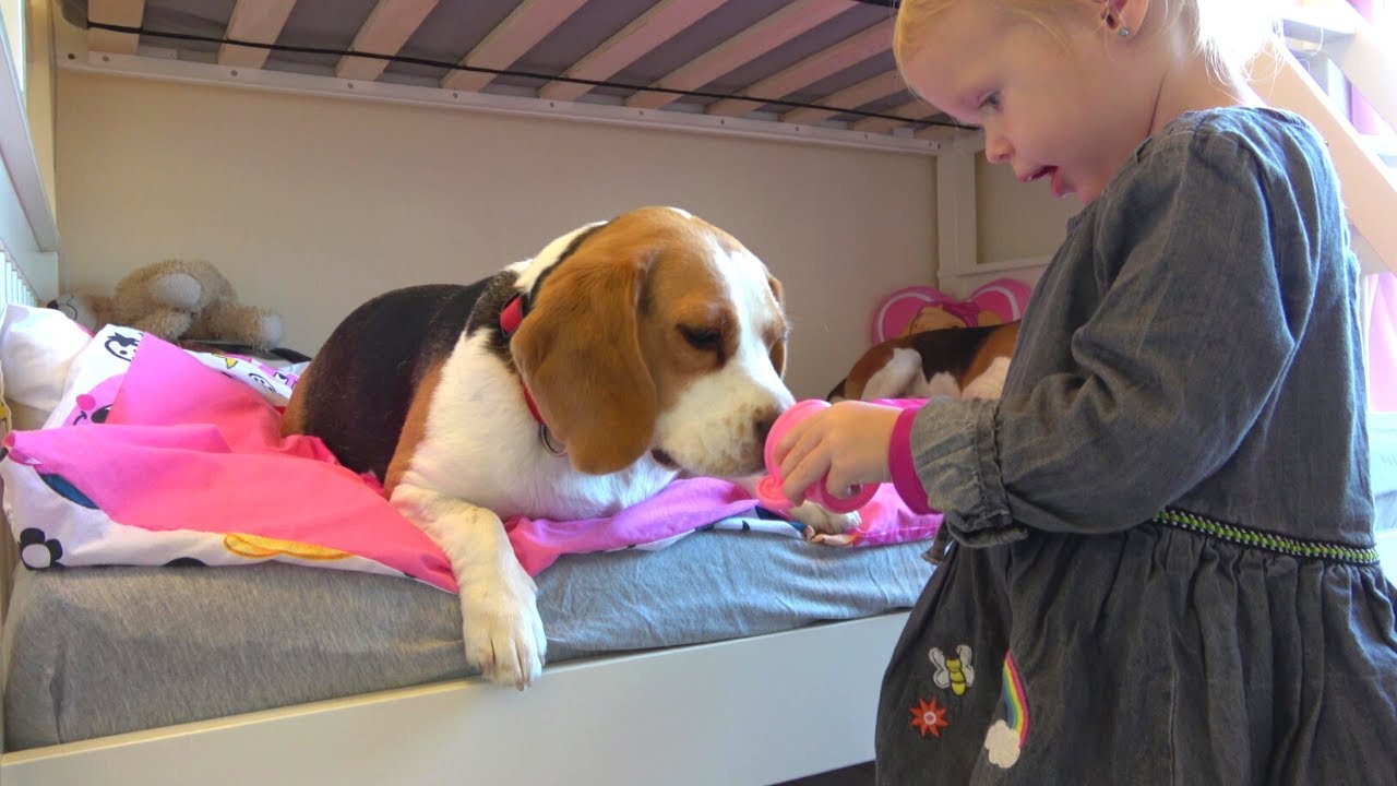 Sweet baby enjoys silly playtime with dogs