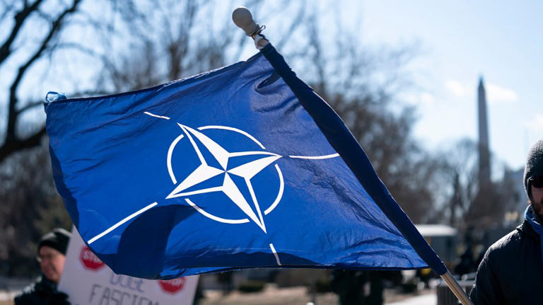 Partisan divide widening on US support for NATO: Pew